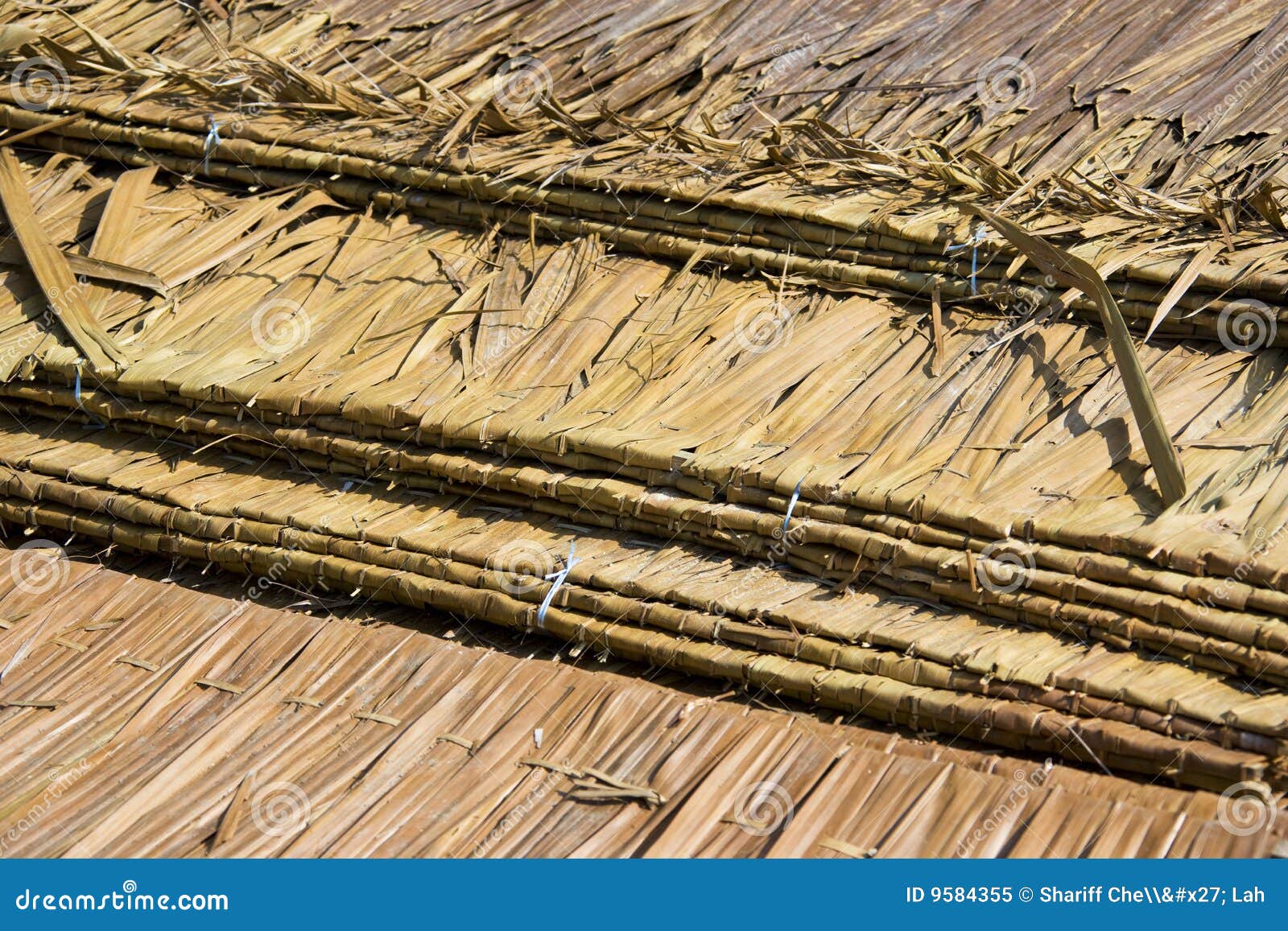 Attap Roof stock image. Image of rooftop, malaysia, tradition - 9584355