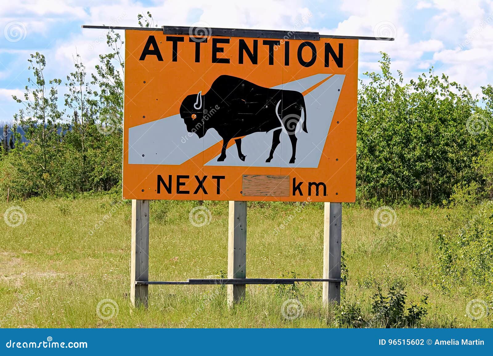 An Attention Bison of Roadway Warning Sign Stock Photo - Image of alert ...