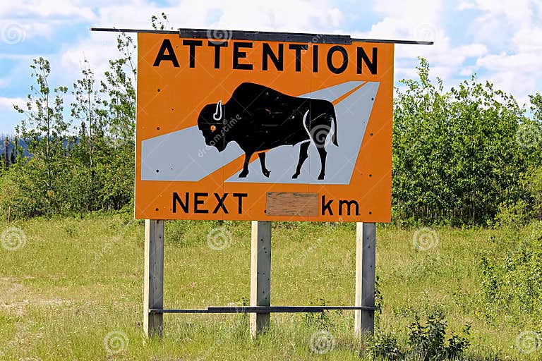 An Attention Bison of Roadway Warning Sign Stock Photo - Image of alert ...