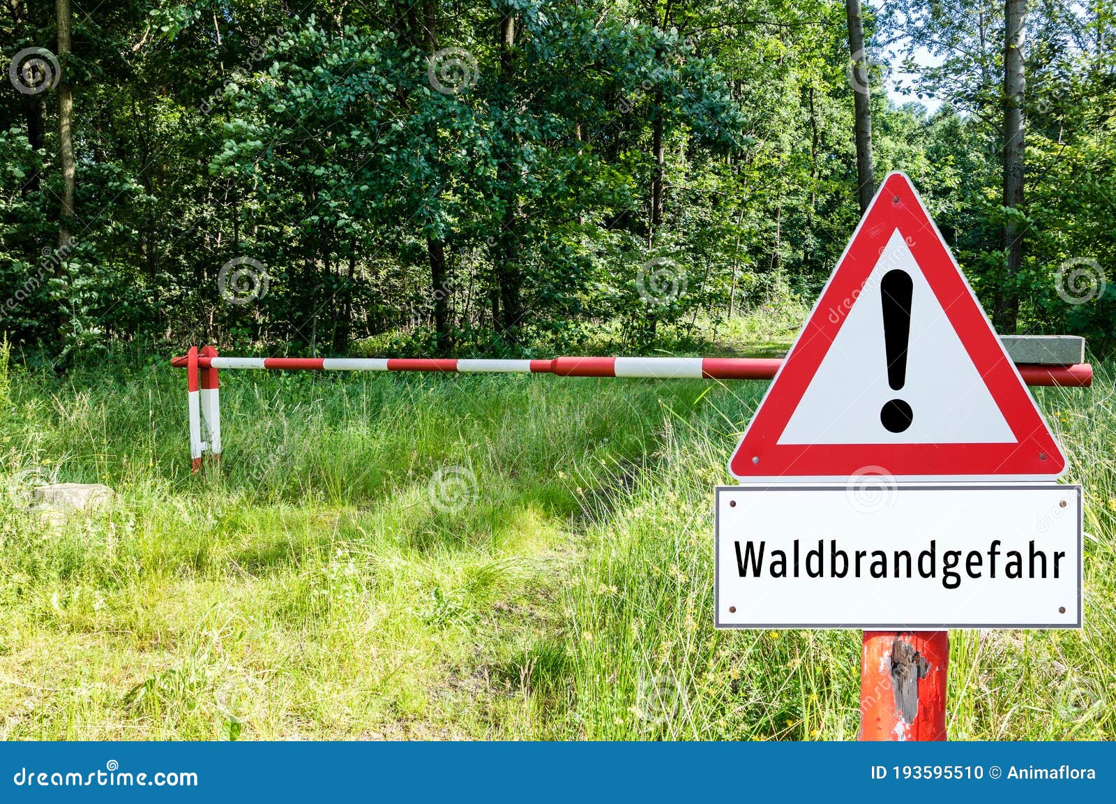 Danger Of Forest Fire Sign Royalty-Free Stock Photography ...