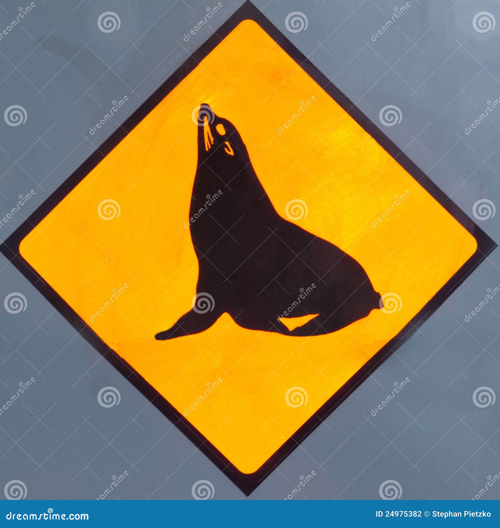 Attention Seals or Sealions on Road Sign Stock Photo - Image of signage ...