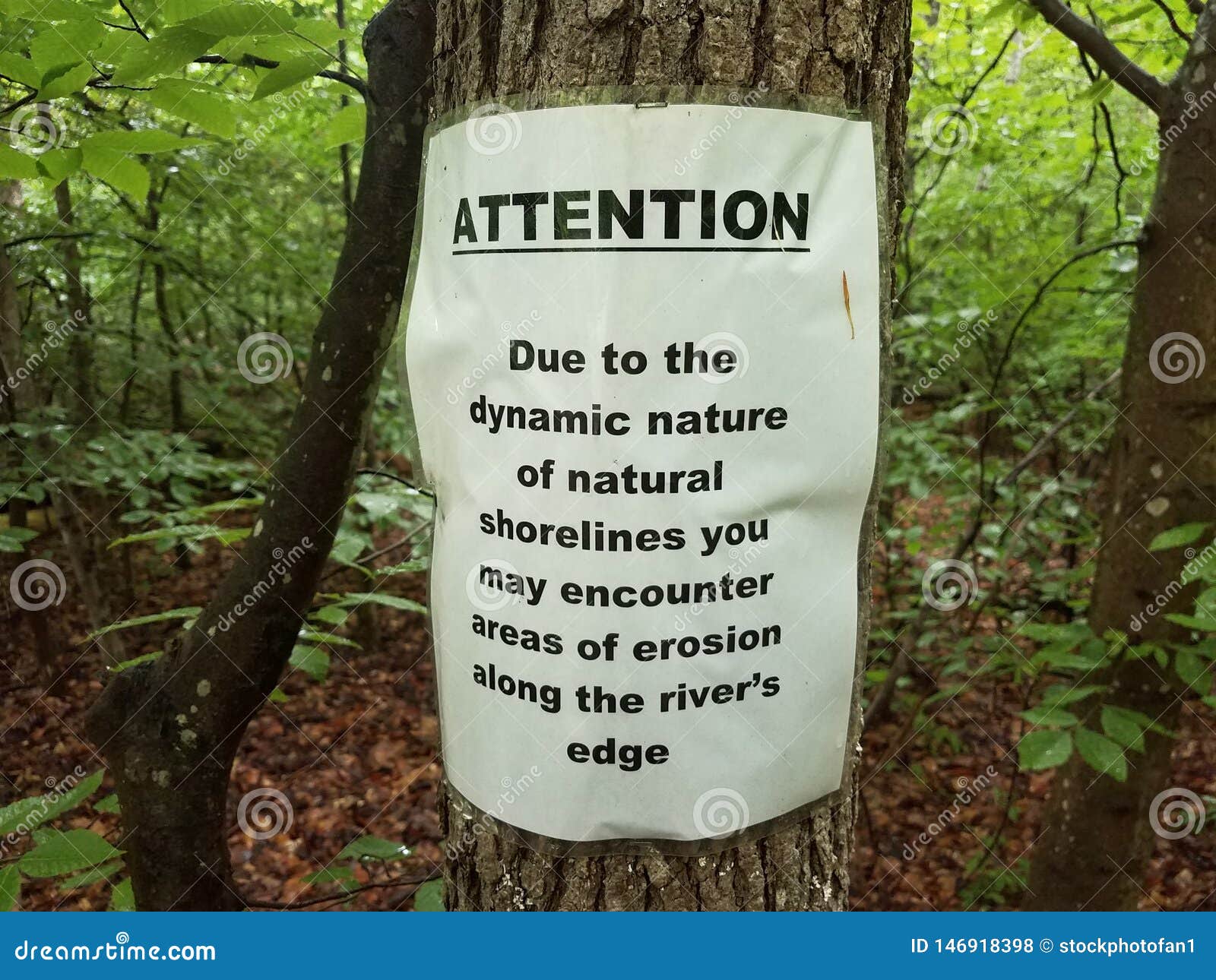 Attention Warning about Erosion Sign on Tree in Woods Stock Photo ...