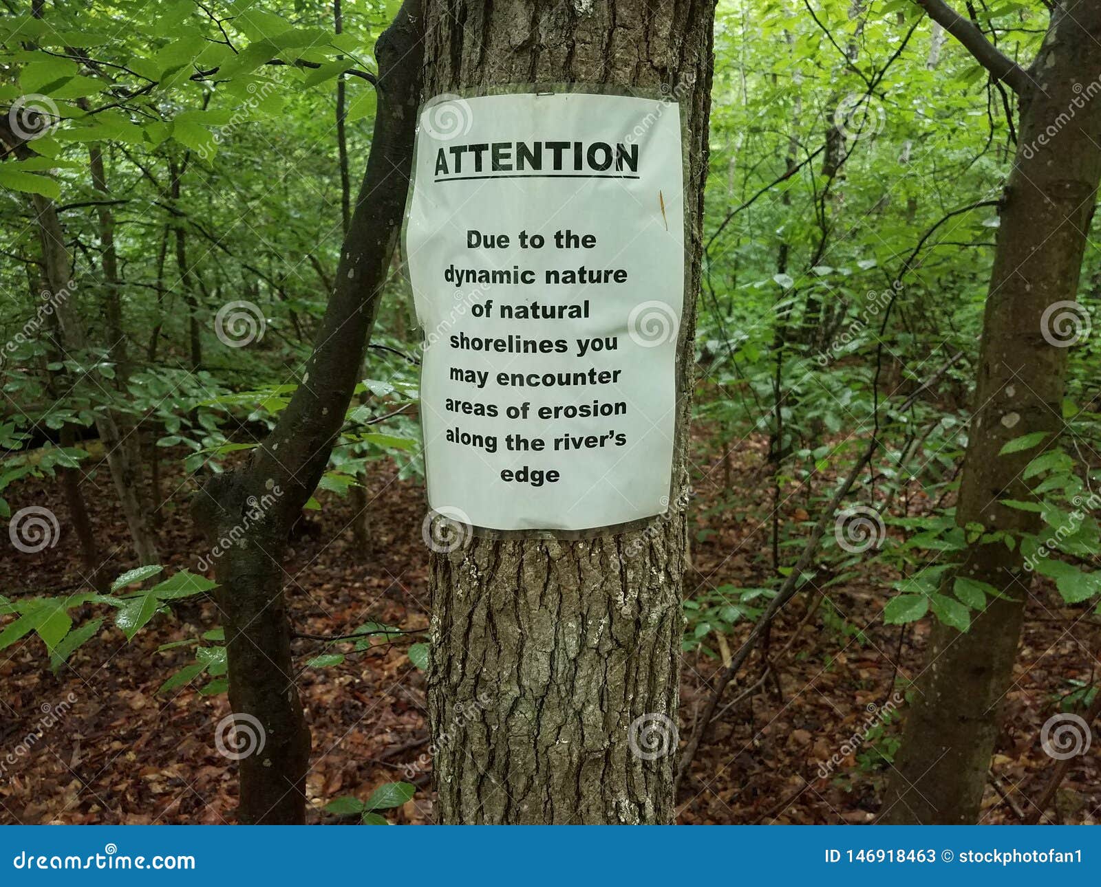 Attention Warning about Erosion Sign on Tree in Woods Stock Image ...