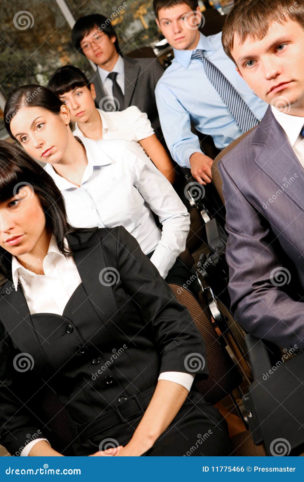 Attentive listeners stock photo. Image of expertise, business - 11775466