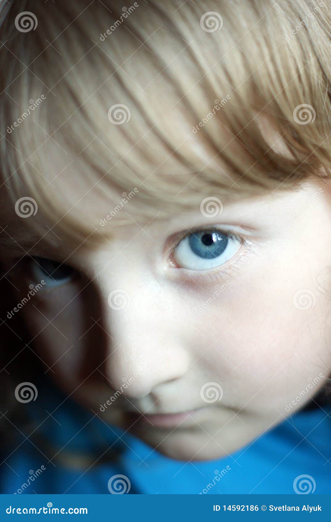 Attentive look stock photo. Image of expression, looking - 14592186