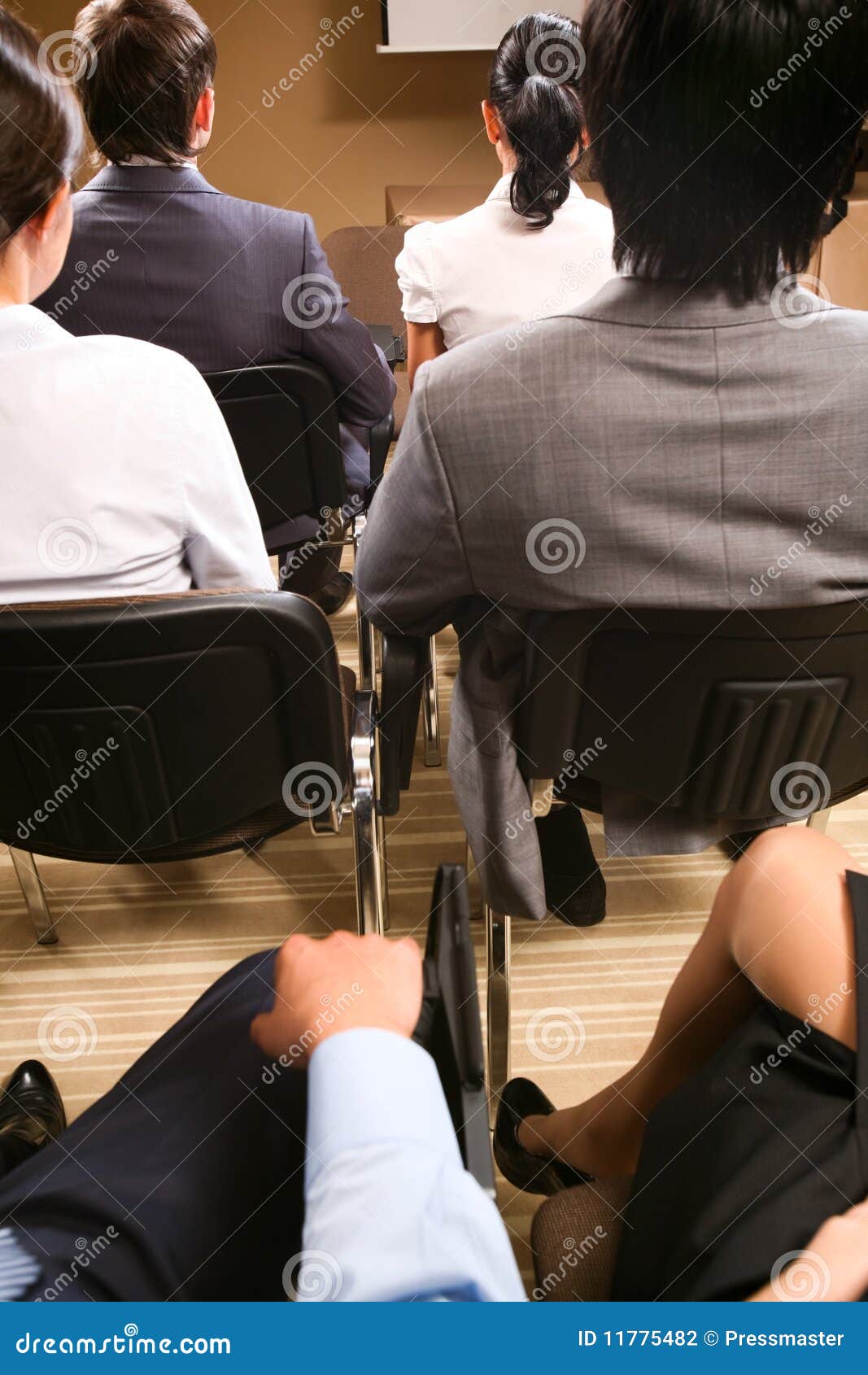 Attentive professionals stock photo. Image of career - 11775482