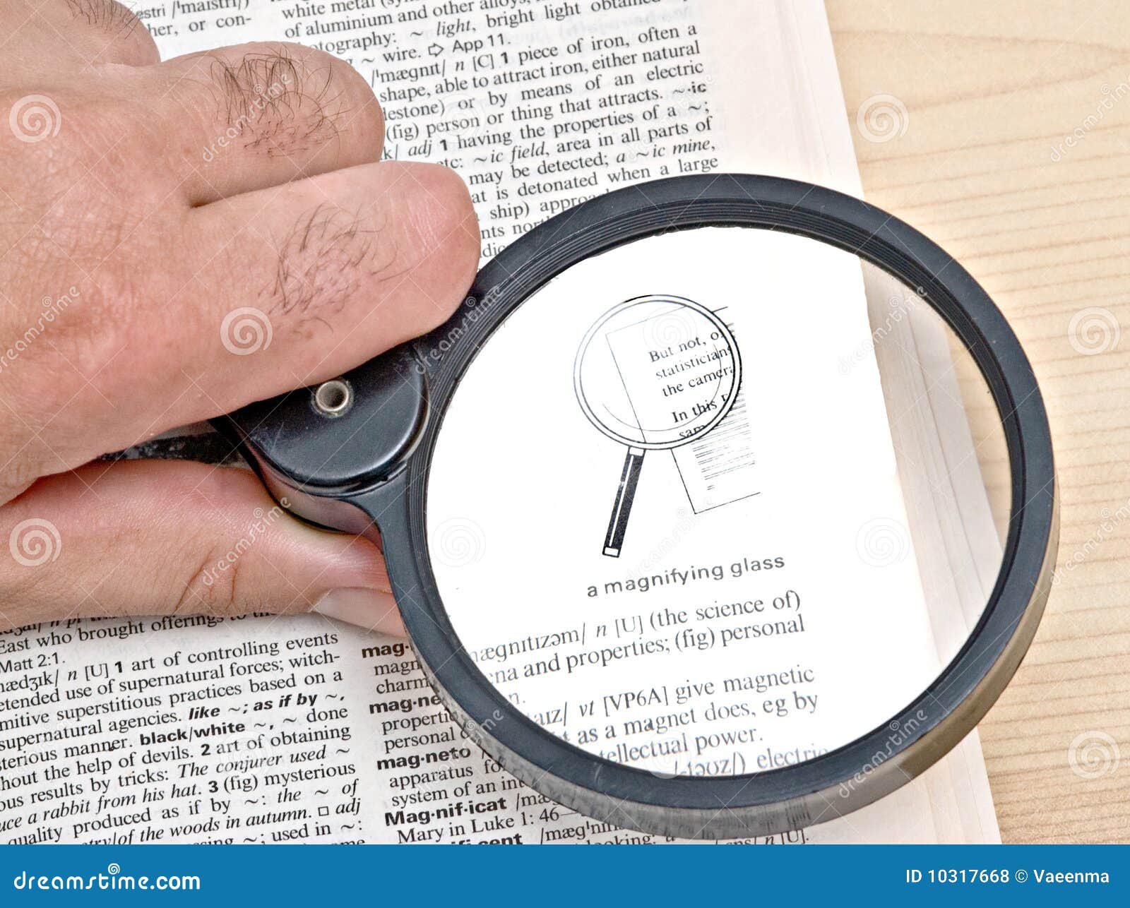 Attentive Reader Reading Dictionary Stock Photo - Image of person, book ...