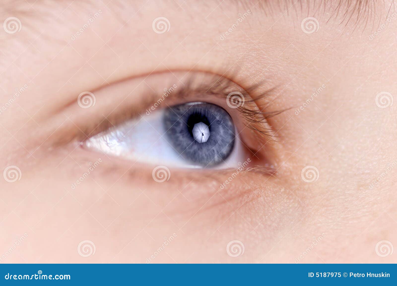 Attentive Sight of the Boy. Stock Image - Image of face, looking: 5187975