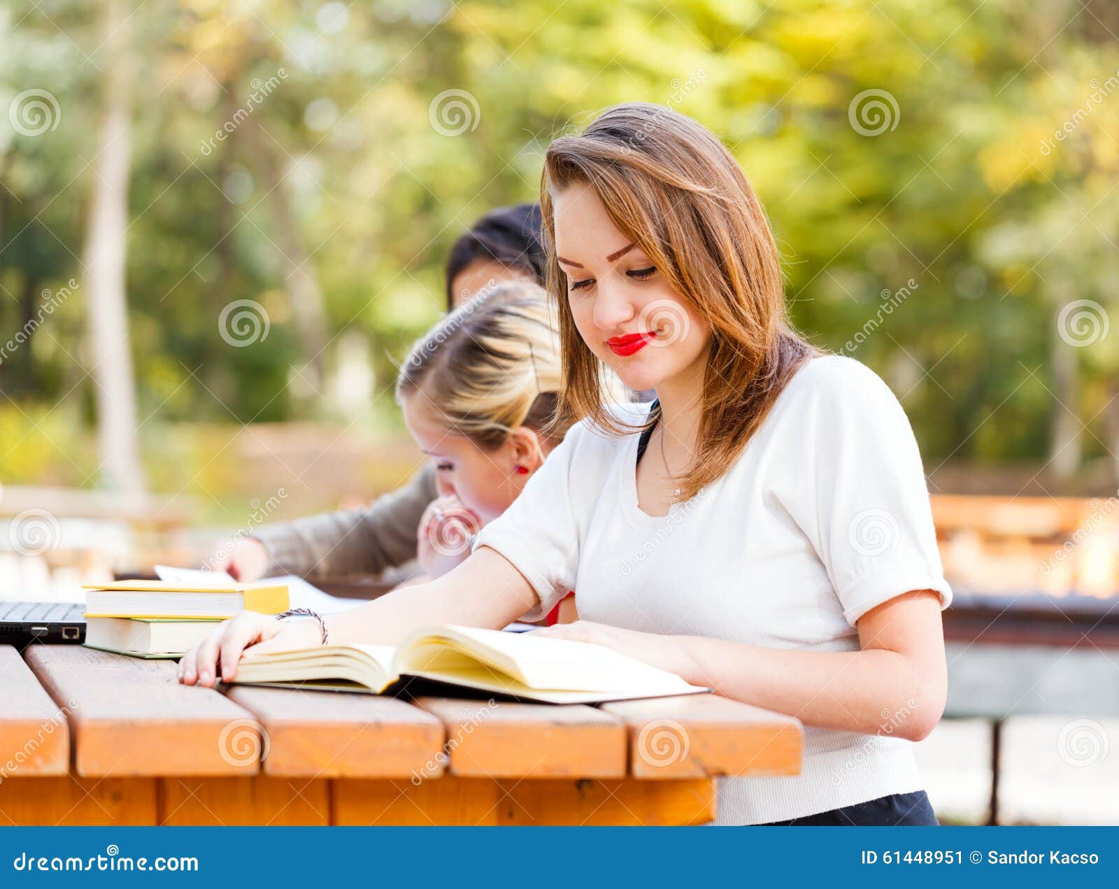 Attentive student learning stock image. Image of classmates - 61448951