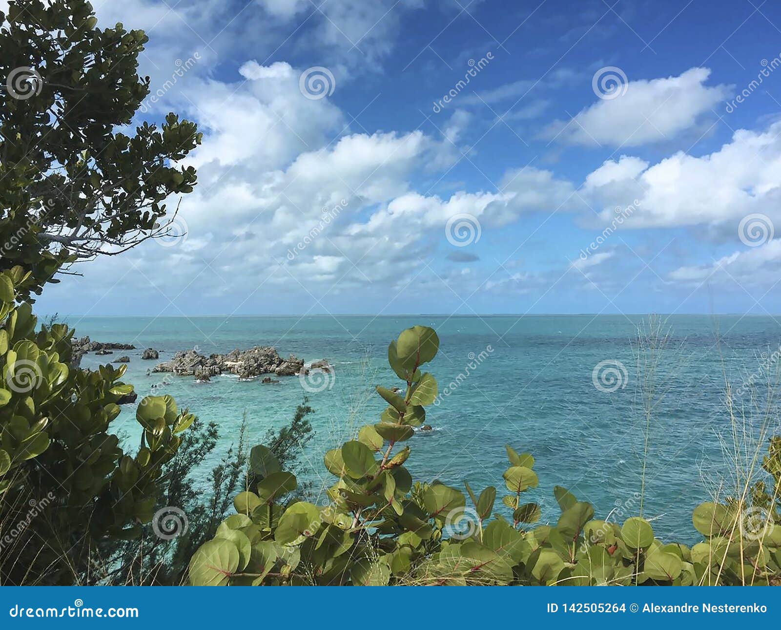 Attractions in Bermuda stock photo. Image of beautiful - 142505264
