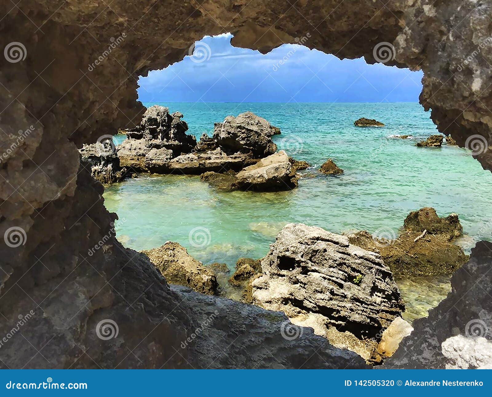 Attractions in Bermuda stock photo. Image of ocean, forest - 142505320