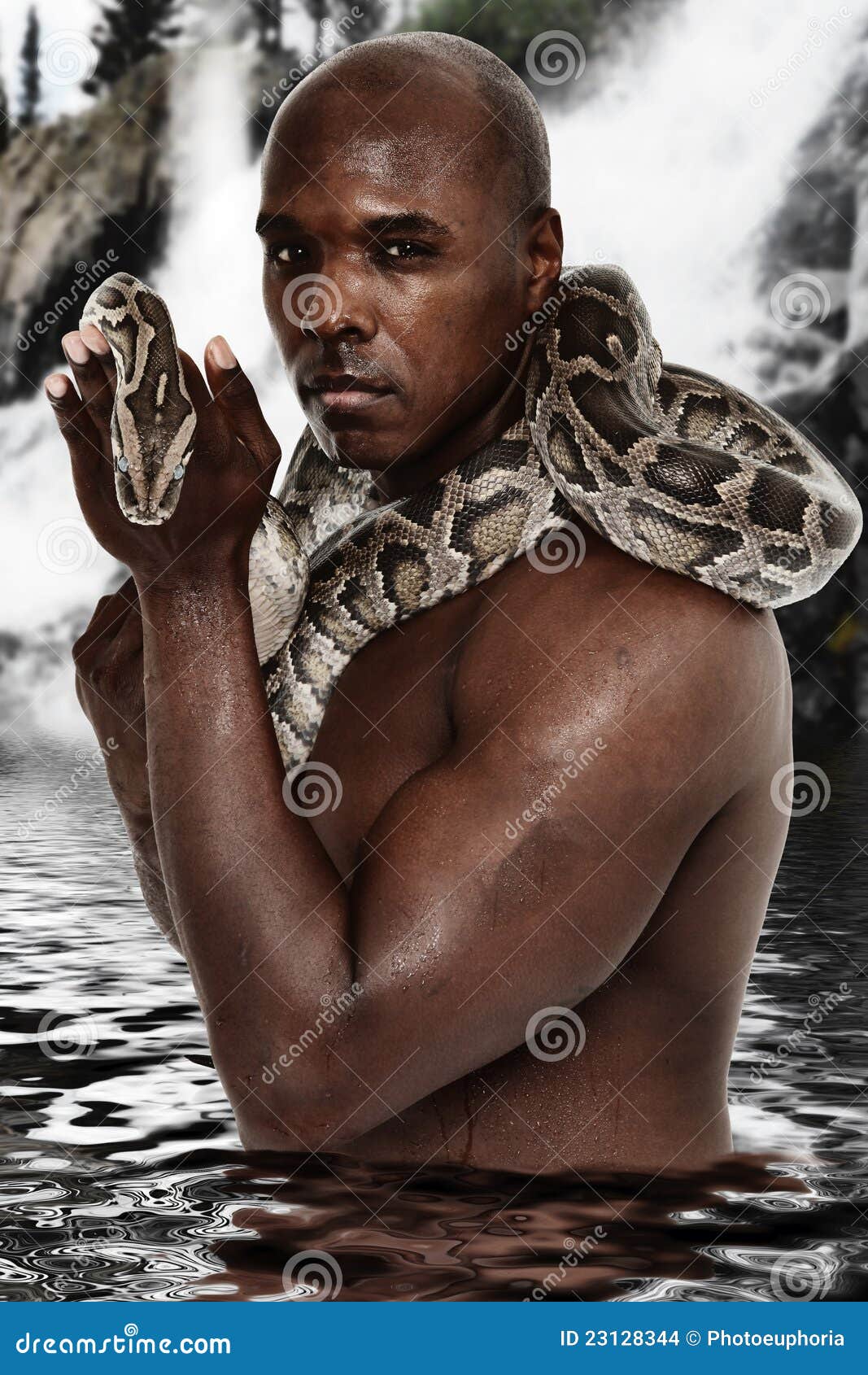 Boa Constrictor Stock Photography | CartoonDealer.com #18473486