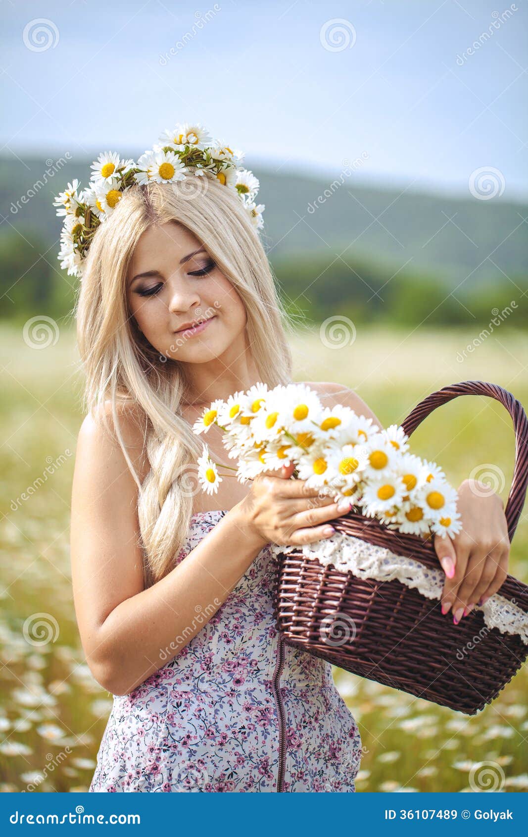 Attractive Blonde In Chamomile Field Young Woman In Wreath Stock Image