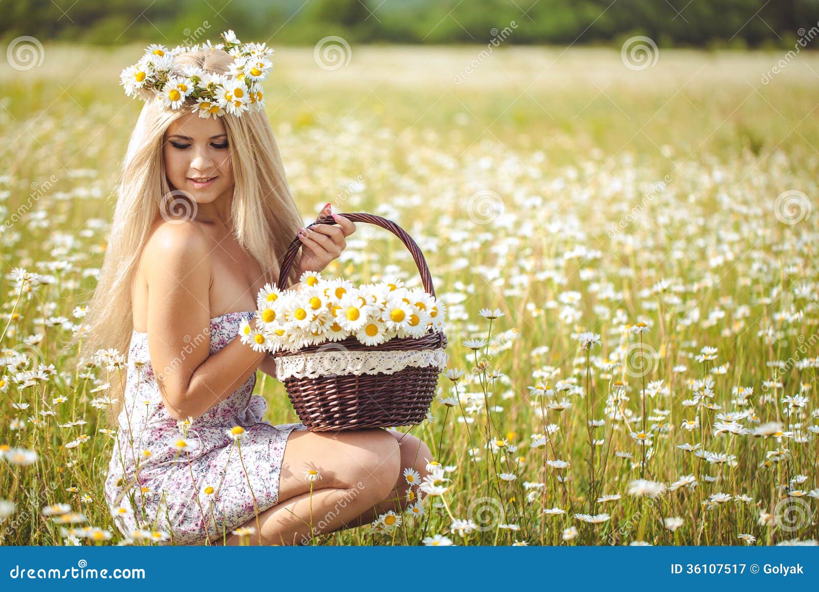 Attractive Blonde In Chamomile Field Young Woman In Wreath Stock Image