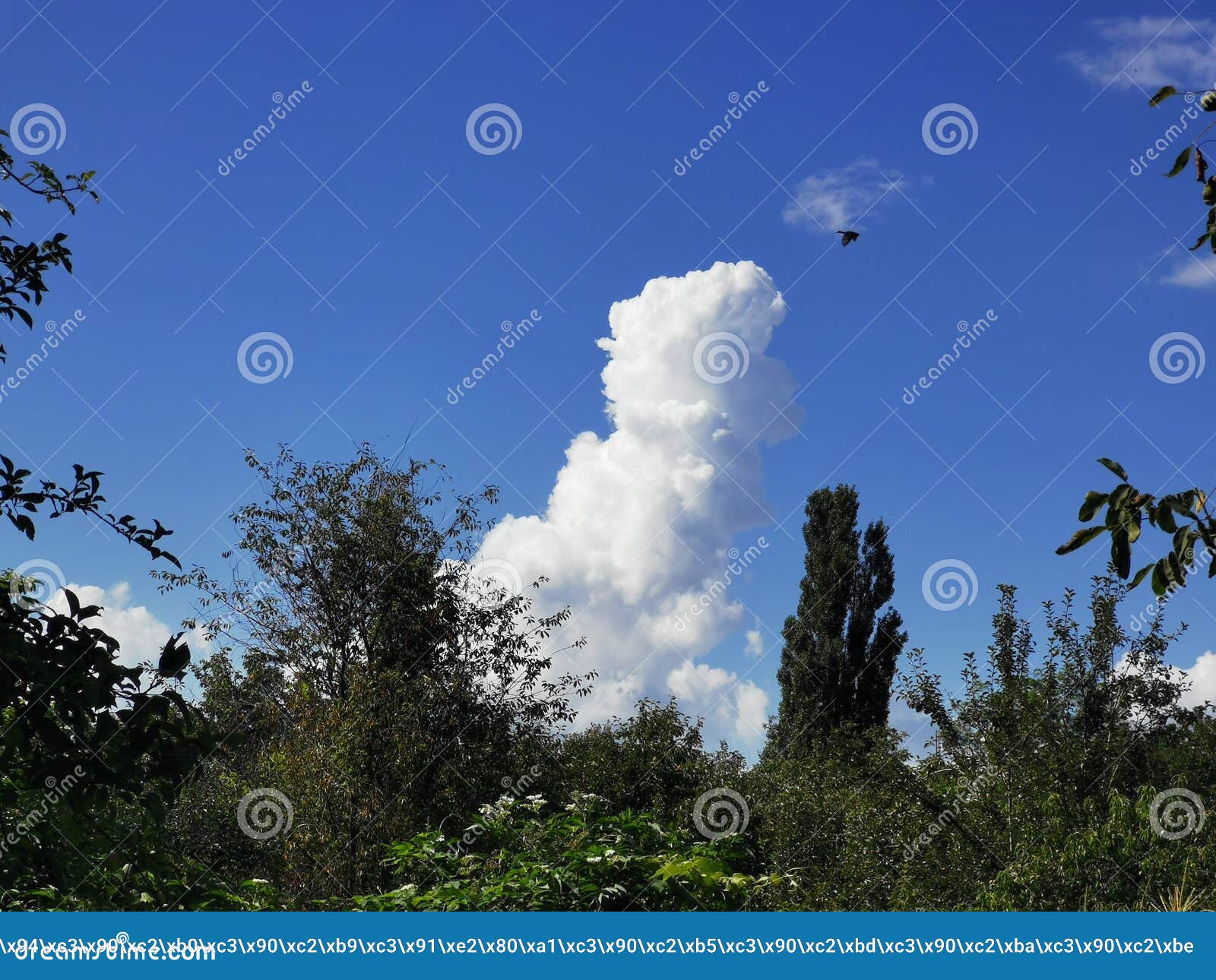 Column of clouds stock image. Image of flower, meadow - 254702897