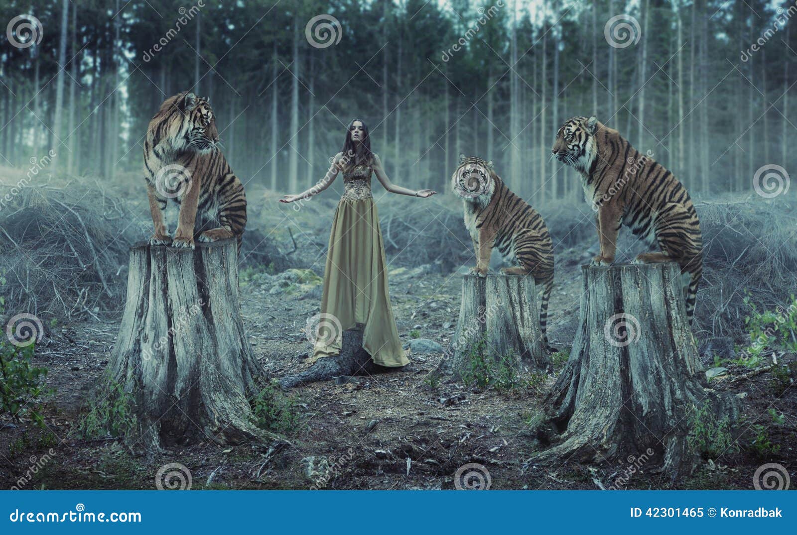 Attractive Female Trainer with the Tigers Stock Image - Image of girl ...