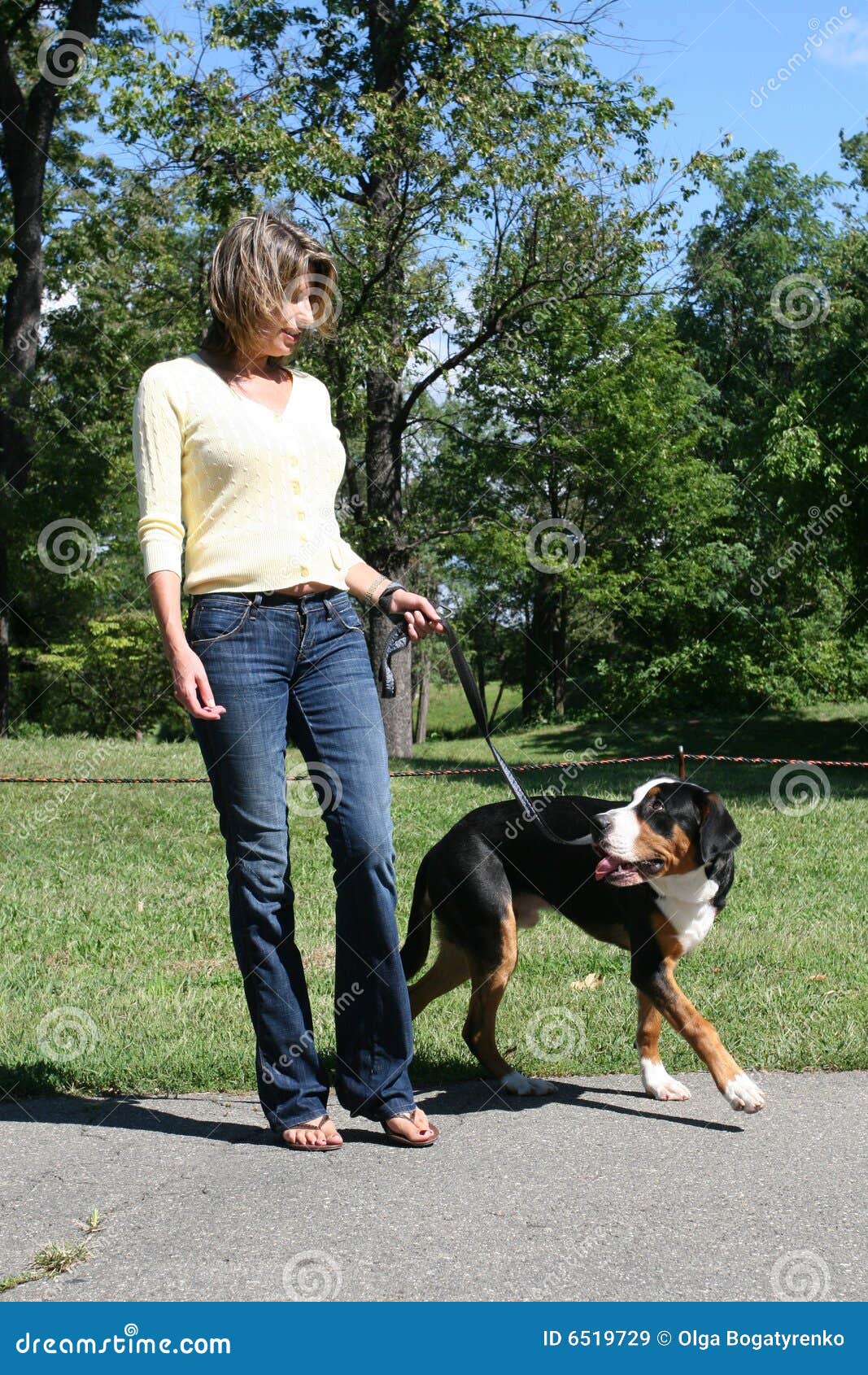 Attractive Female Walking Her Dog Stock Image - Image of woman ...