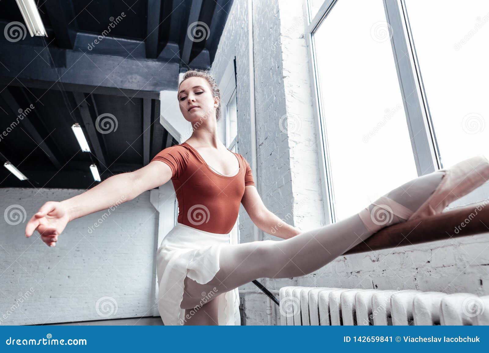 Attractive Graceful Dancer Practicing in the Dance Studio Stock Image ...