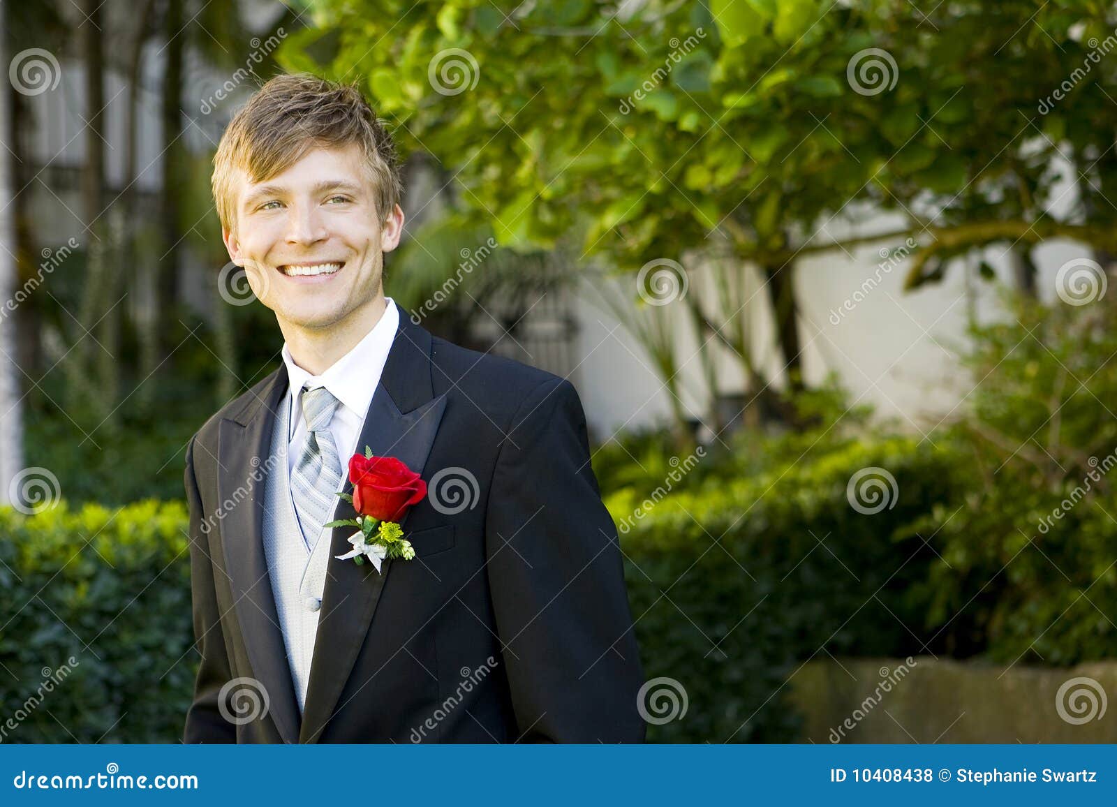 Attractive groom stock photo. Image of celebrating, husband - 10408438