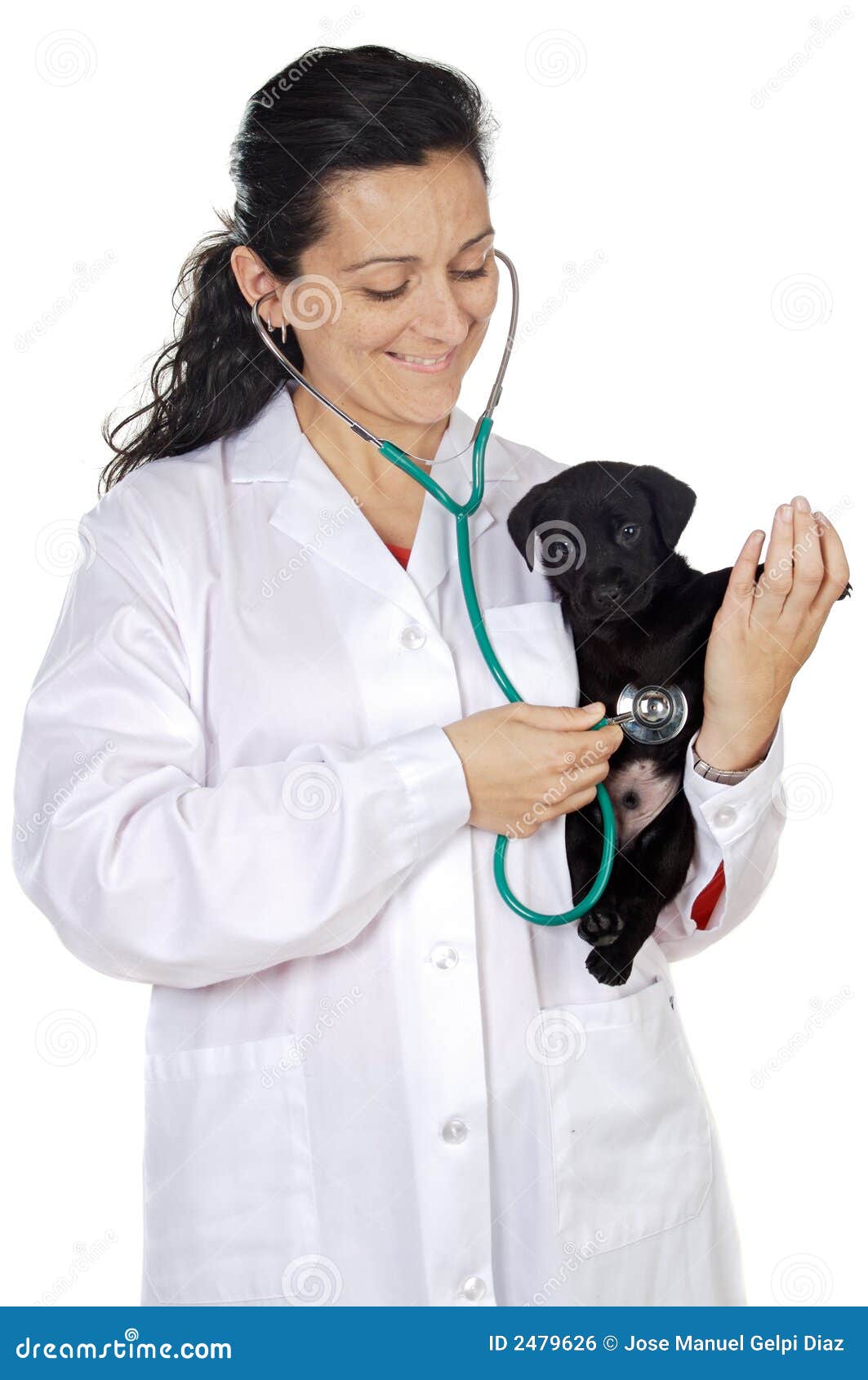 Attractive Lady Veterinarian Stock Photo - Image of practitioner, nurse ...