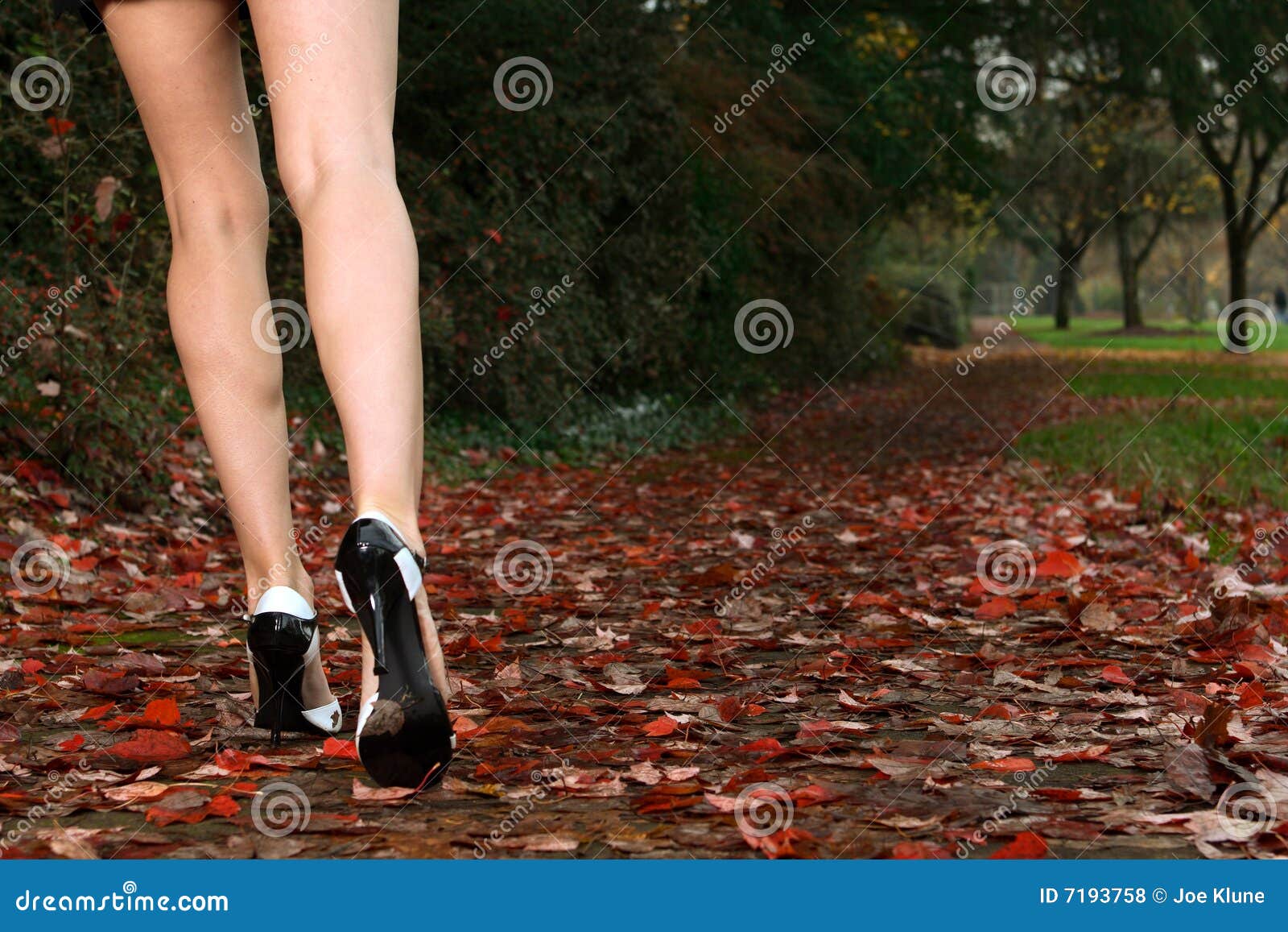 Attractive legs stock photo. Image of female, walking - 7193758