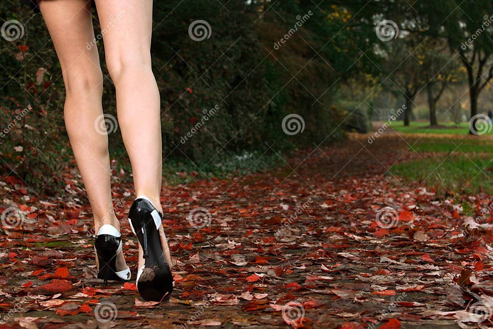 Attractive legs stock photo. Image of female, walking - 7193758