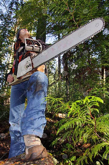 Attractive Logger stock image. Image of chain, wood, industry - 11701029