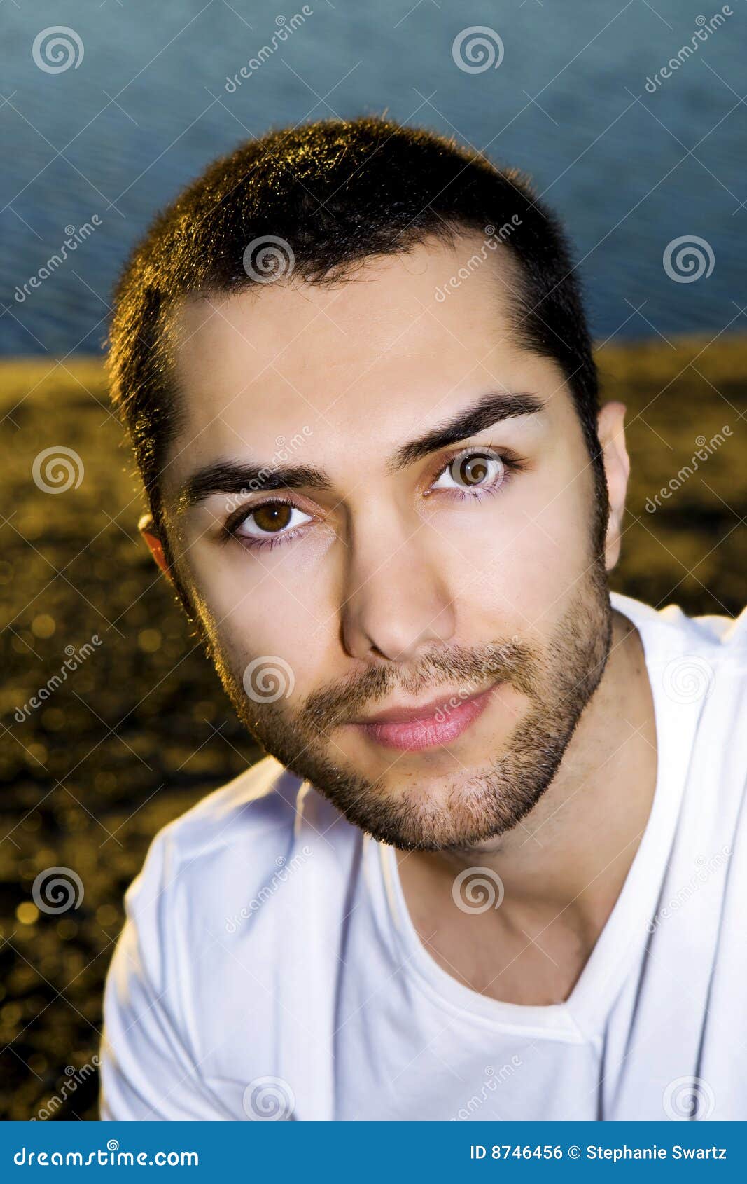 Attractive man stock photo. Image of model, latino, adult - 8746456