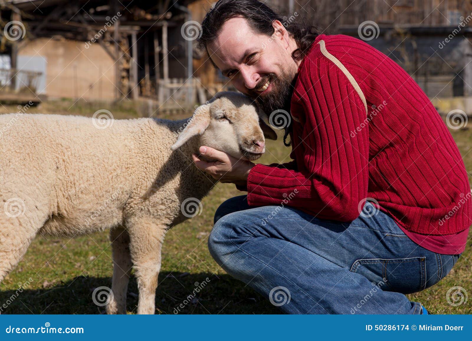 Attractive Man Hugging a Cute Lamb Stock Photo - Image of sanctuary ...