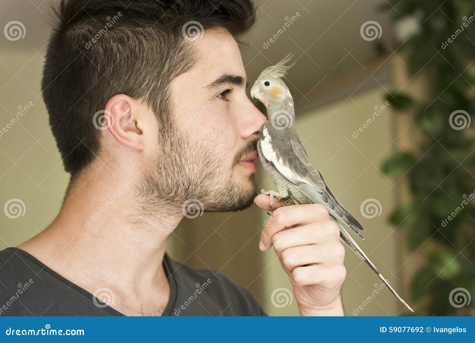 Attractive Man Playing with His Parrot Stock Photo - Image of indoors ...
