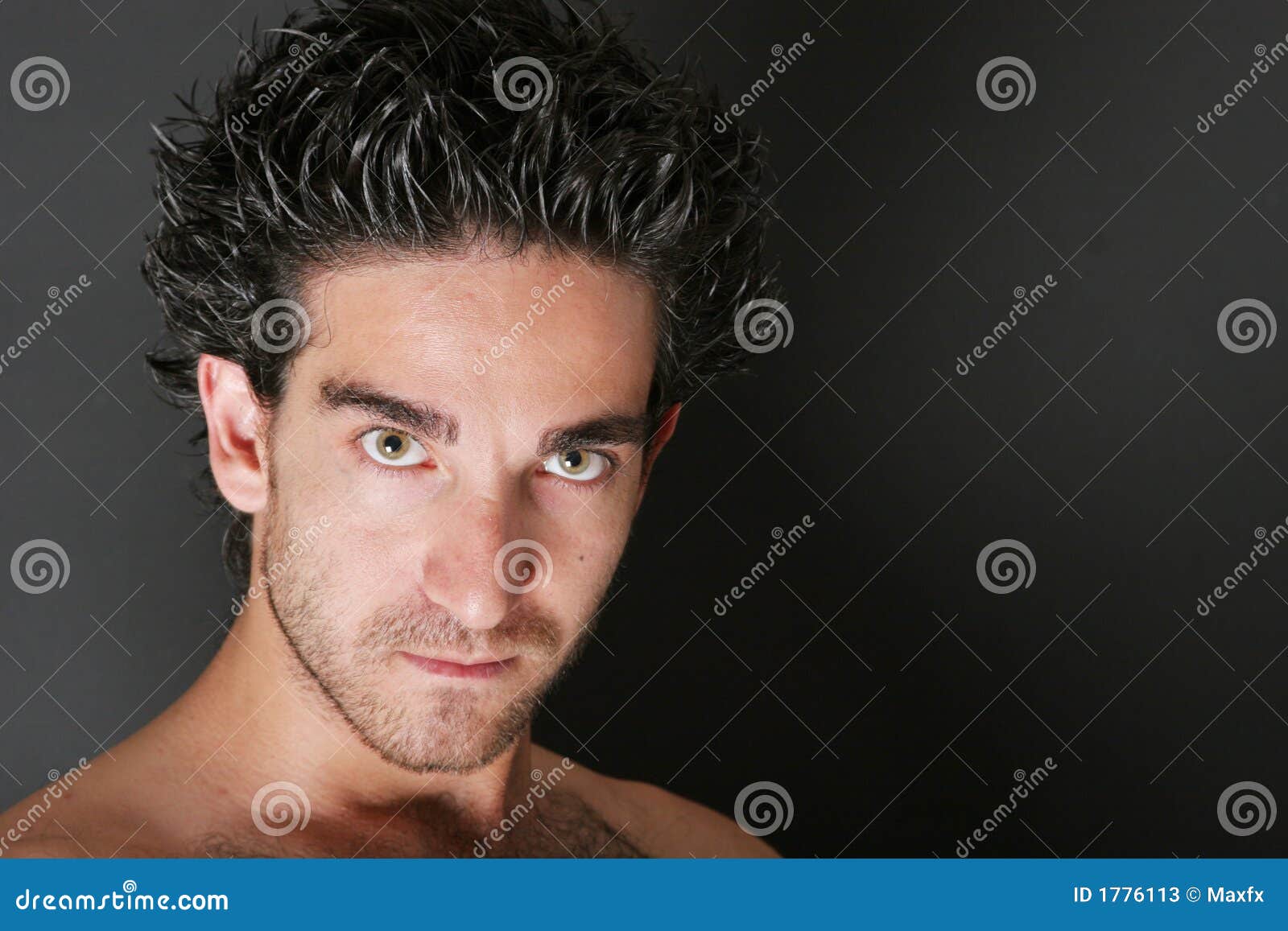 Attractive Man Portrait / Face Stock Image - Image of attractive, hair ...