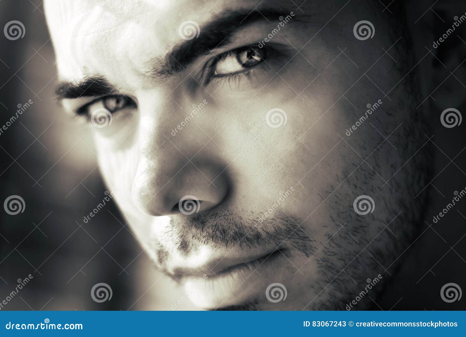 Attractive Man's Face Picture. Image: 83067243