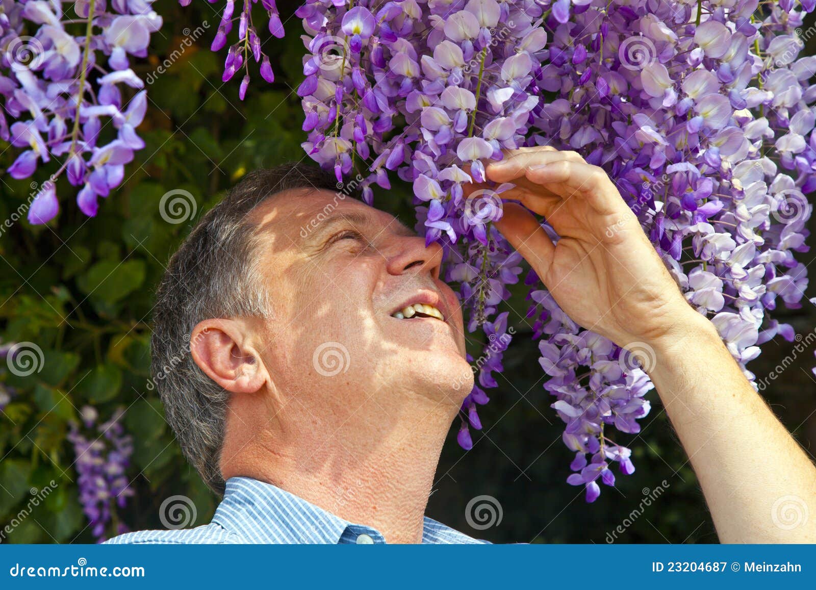 Attractive Man is Smelling Park Stock Image - Image of caucasian ...