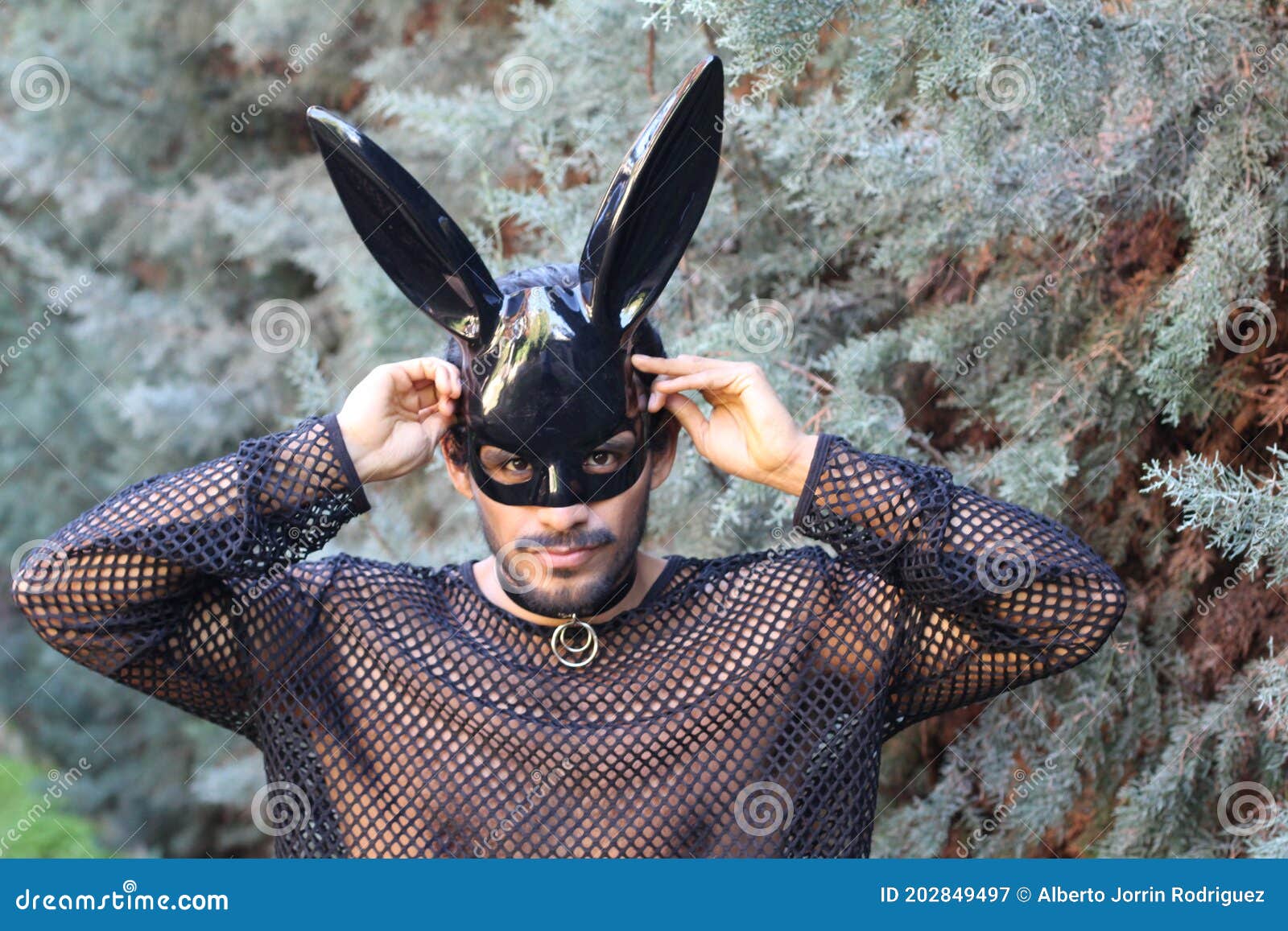 Attractive Man Wearing Bunny Mask Stock Image - Image of erotic, dancer ...