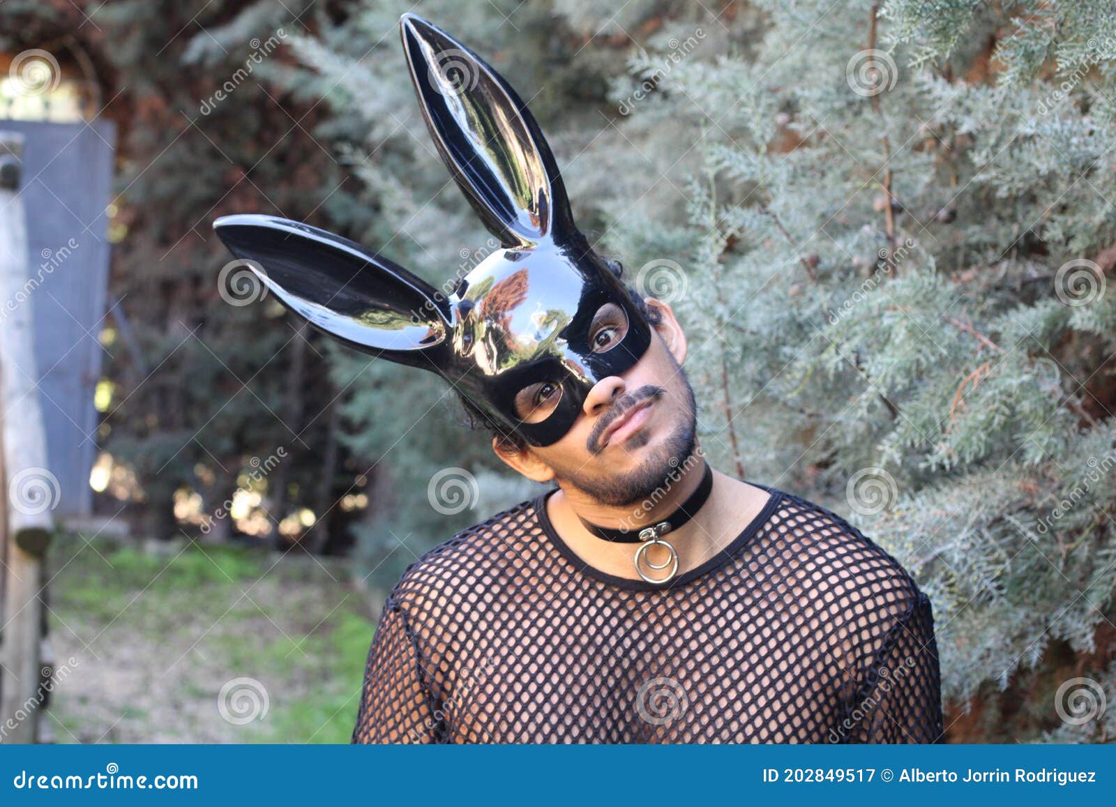 Attractive Man Wearing Bunny Mask Stock Image - Image of muscles ...