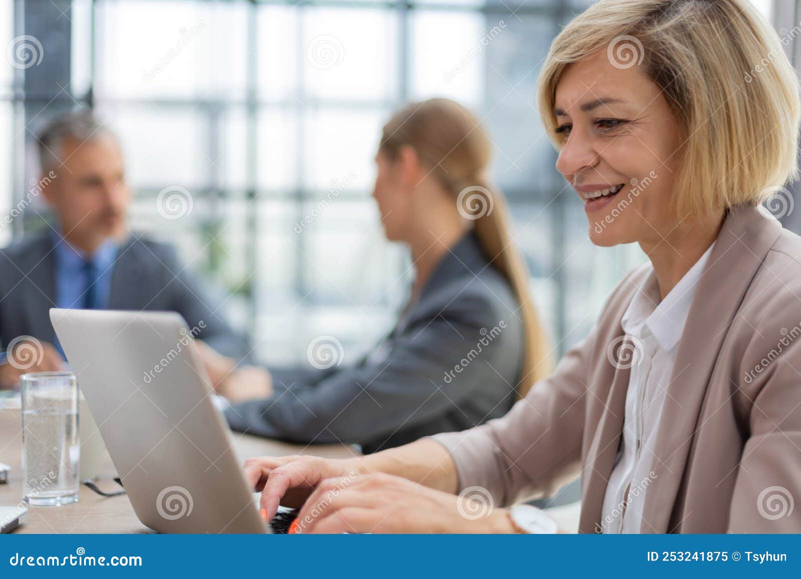 Attractive Middle Aged Woman Working at Office, Using Laptop. Stock ...