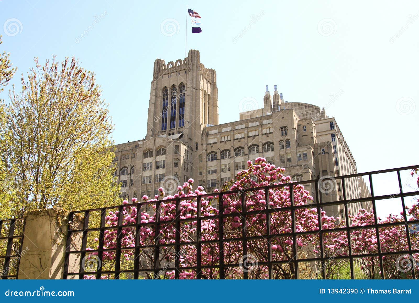 Attractive Midwest University Campus Stock Photo - Image of downtown ...