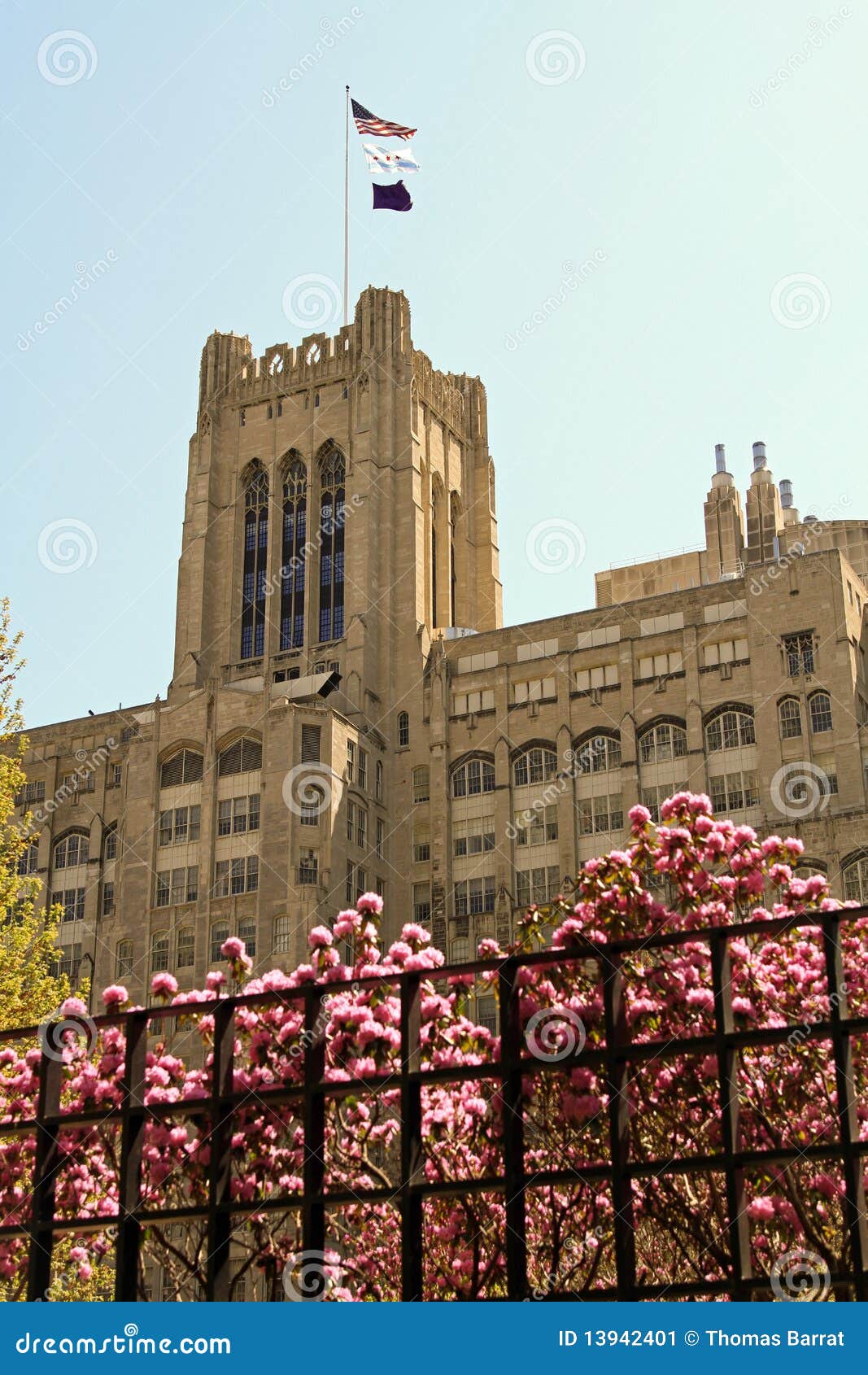 Attractive Midwest University Campus Stock Image - Image of ...