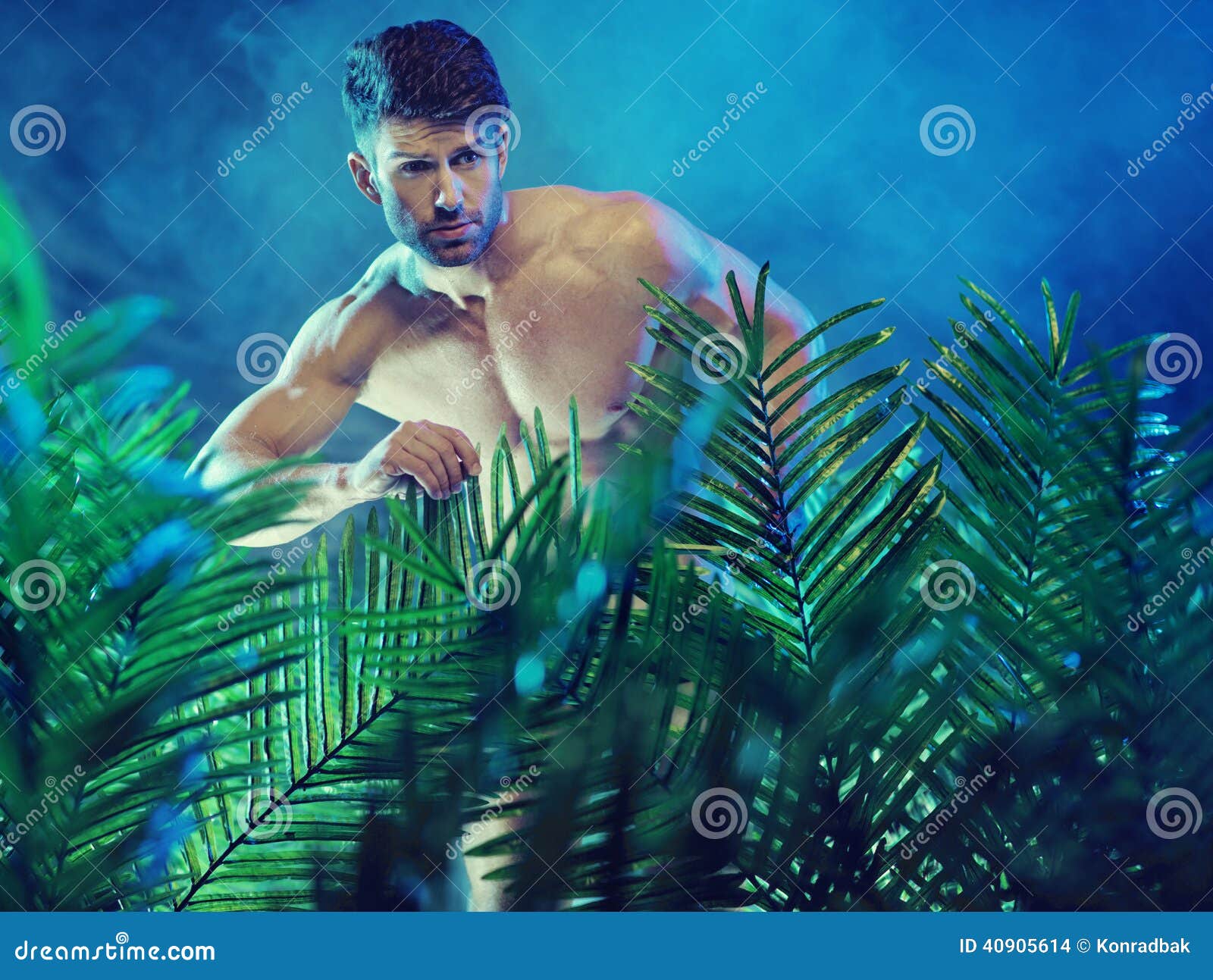Attractive Muscular Man in the Jungle Stock Photo - Image of hand ...