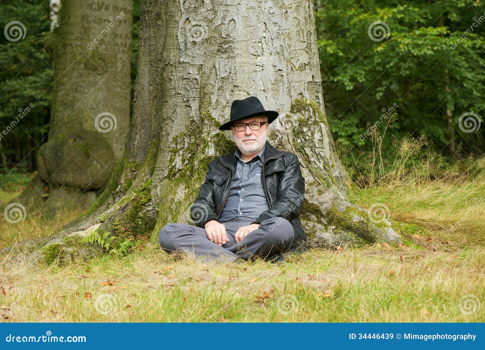 Attractive Older Man Sitting Under Tree Stock Image - Image of alone ...