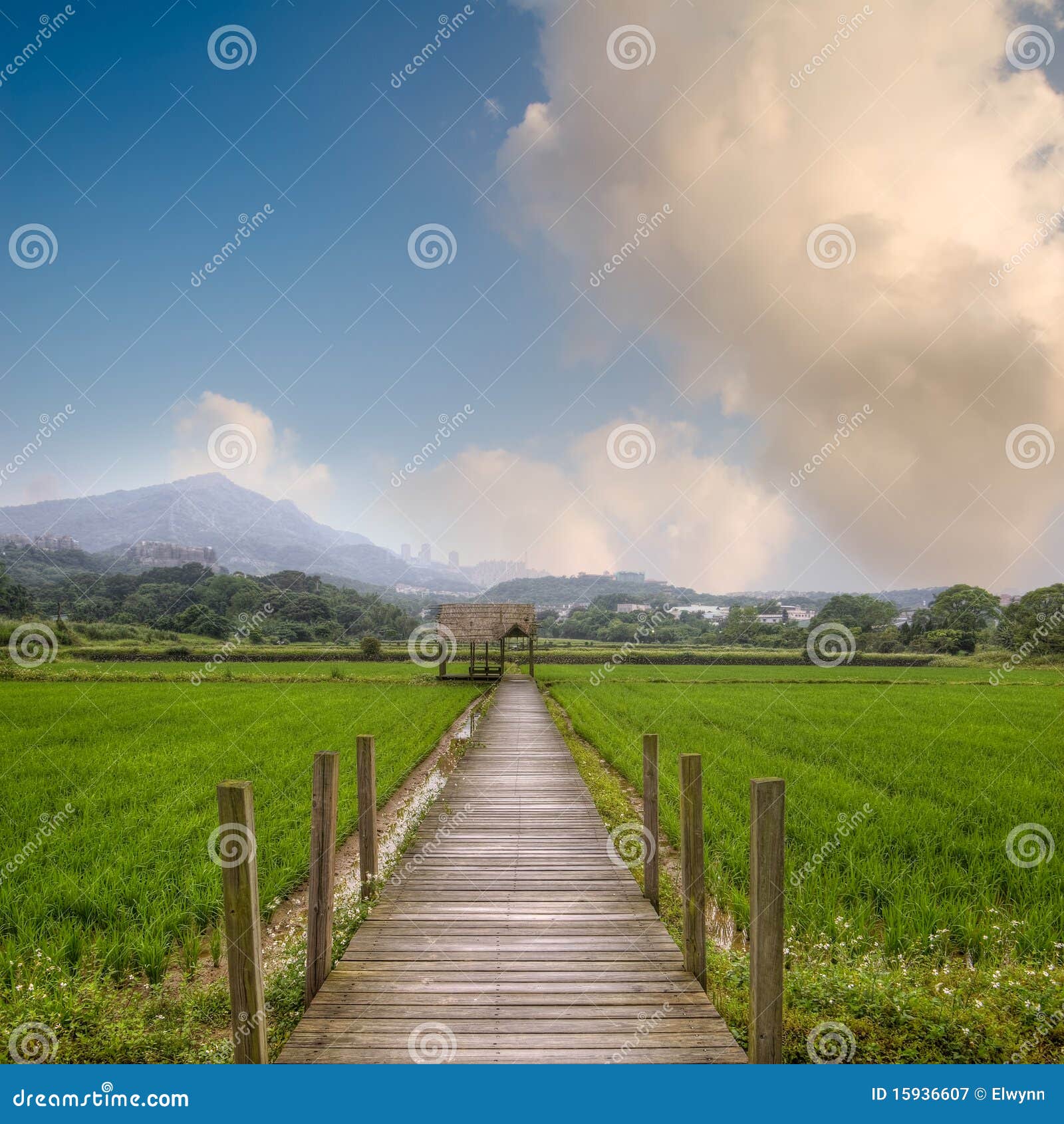 Attractive rural scenery stock image. Image of beautiful - 15936607