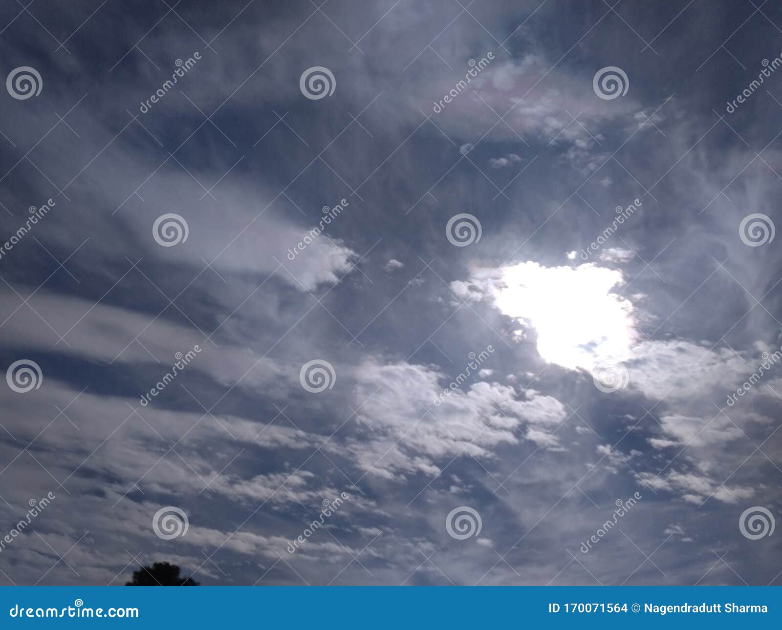 An Attractive Snapshot of a Pleasing View of a Spunky Pattern of White ...