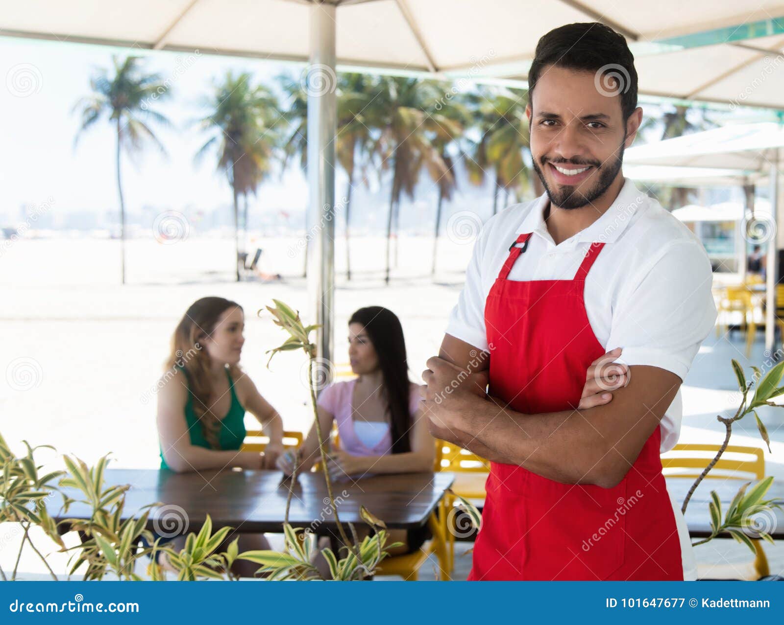 528 Waiter Beach Photos - Free & Royalty-Free Stock Photos from Dreamstime