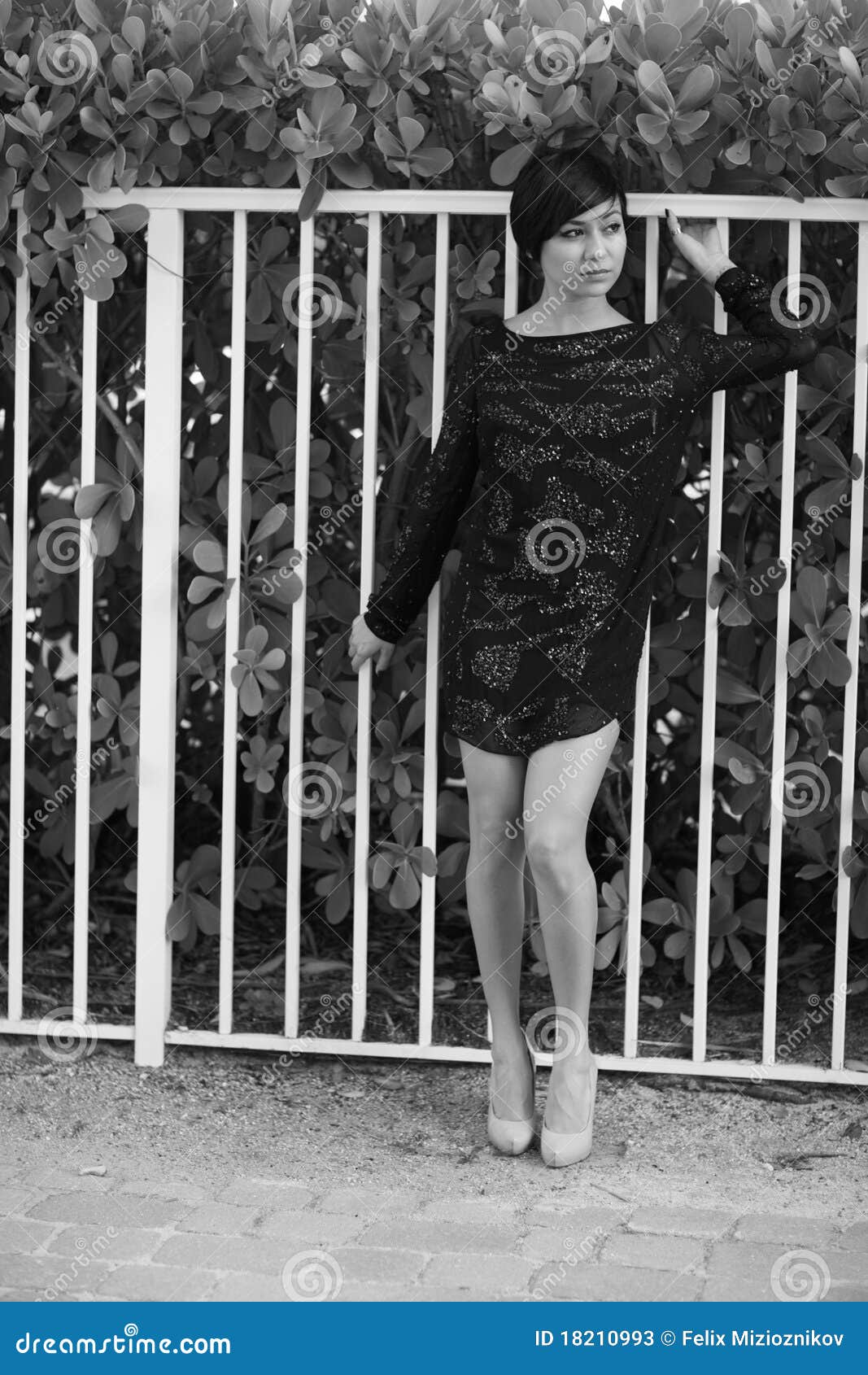 Attractive Woman by the Fence Stock Image - Image of setting, brunette ...