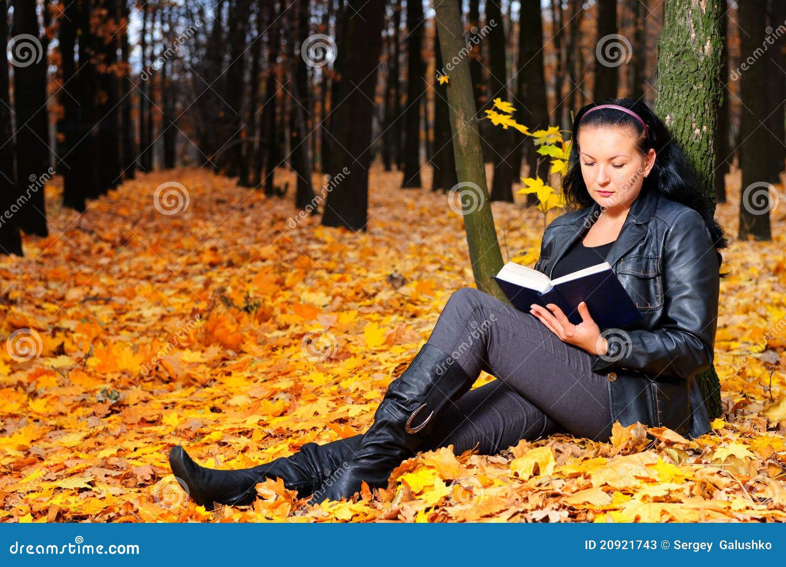 The Attractive Woman Reads the Book Stock Image - Image of nature ...