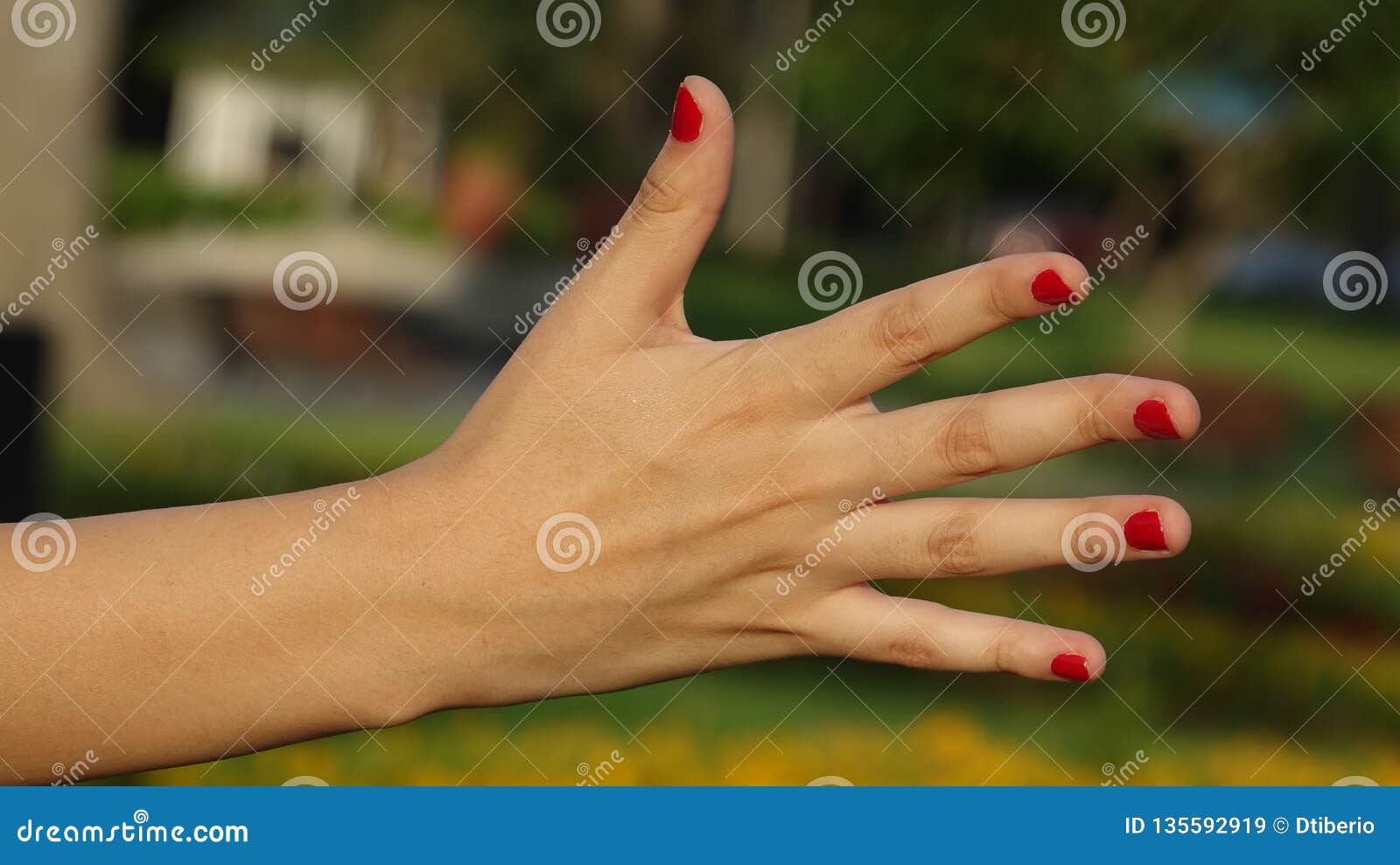 Female Hand Counting Five stock image. Image of knuckle - 135592919