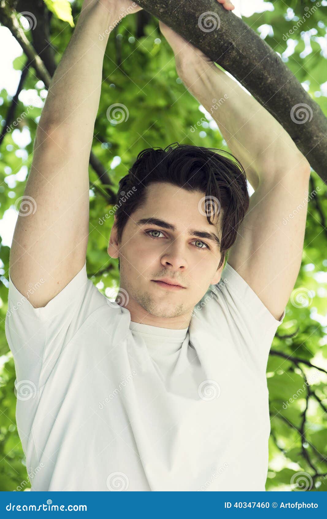 Attractive Young Man Hanging from Tree Branch Stock Photo - Image of ...
