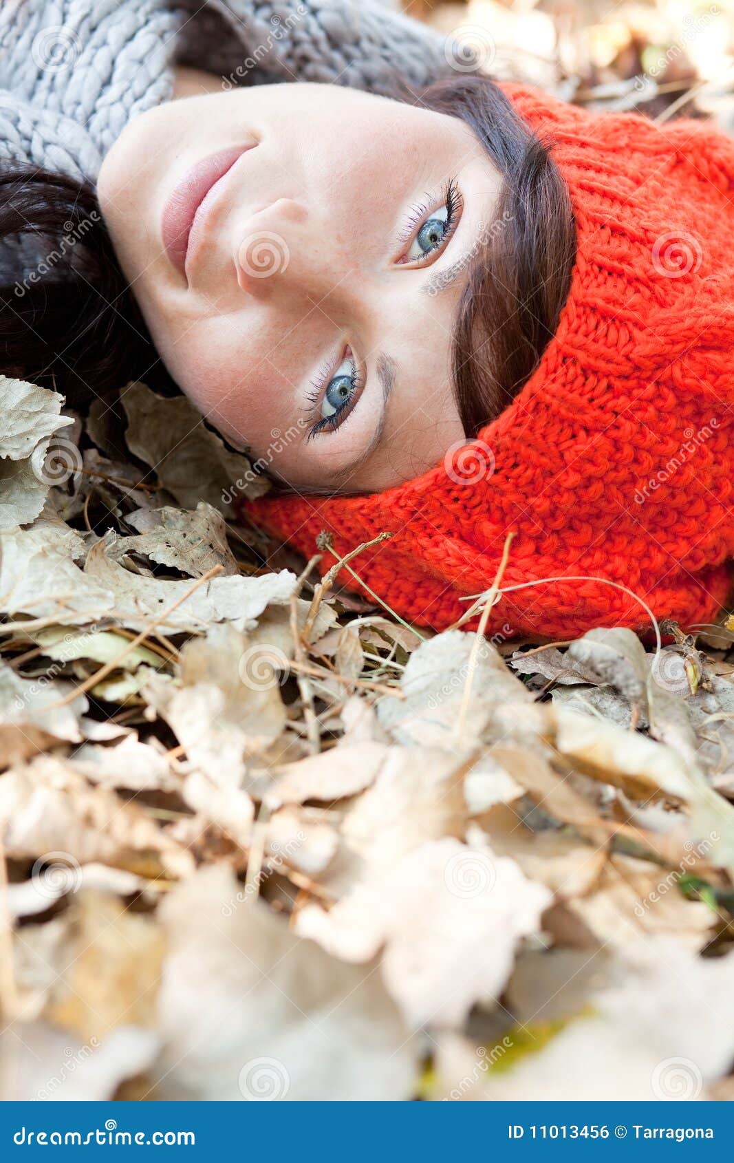 Atumn fall woman stock photo. Image of forest, maple - 11013456