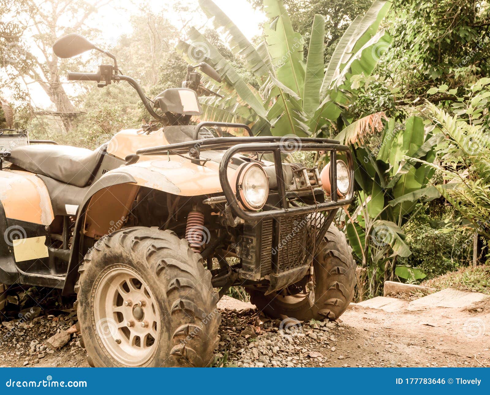 Atv on the Evening Mountains and Tree Stock Photo - Image of country ...