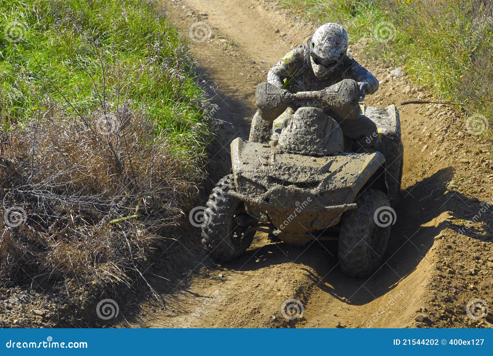 ATV Quad Racer stock photo. Image of riding, male, vacation - 21544202